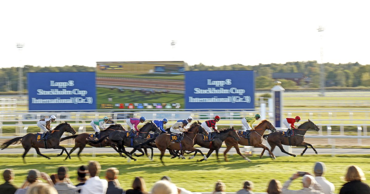 Entries for Stockholm Cup International Day close 4 August - Horse ...