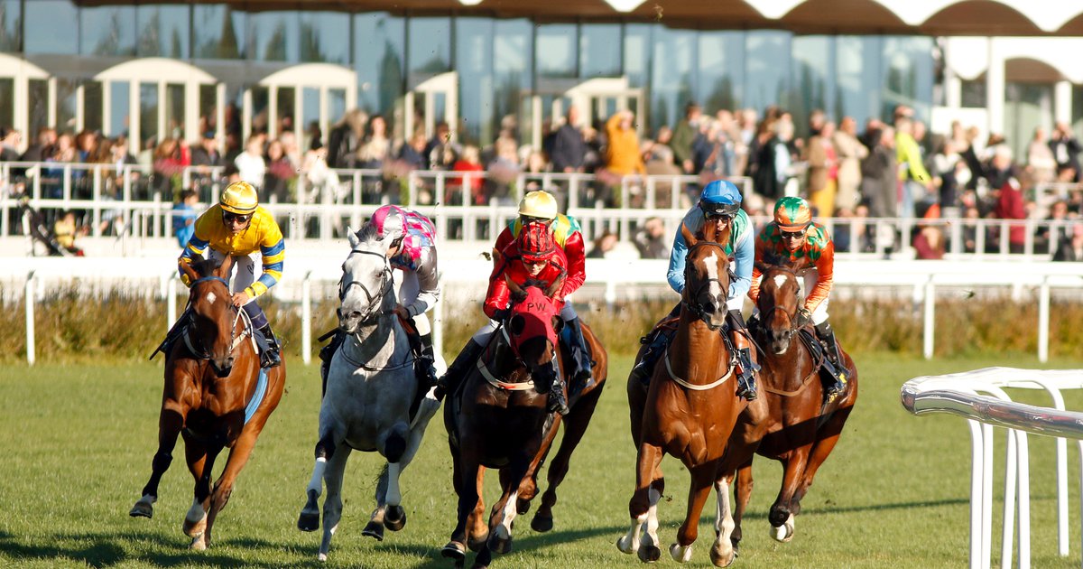 Feature races - Horse Racing Sweden