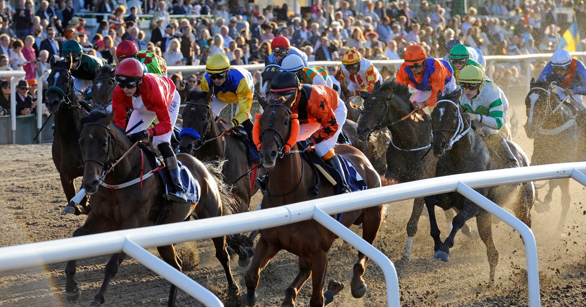 Swedish Derby day races moved to Monday evening - Horse Racing Sweden