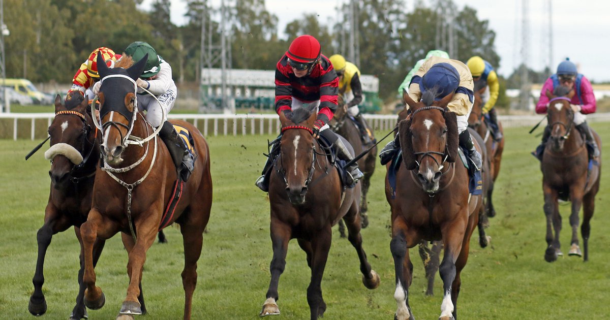 Hard One To Please underlines superstar credentials in Stockholm Cup ...