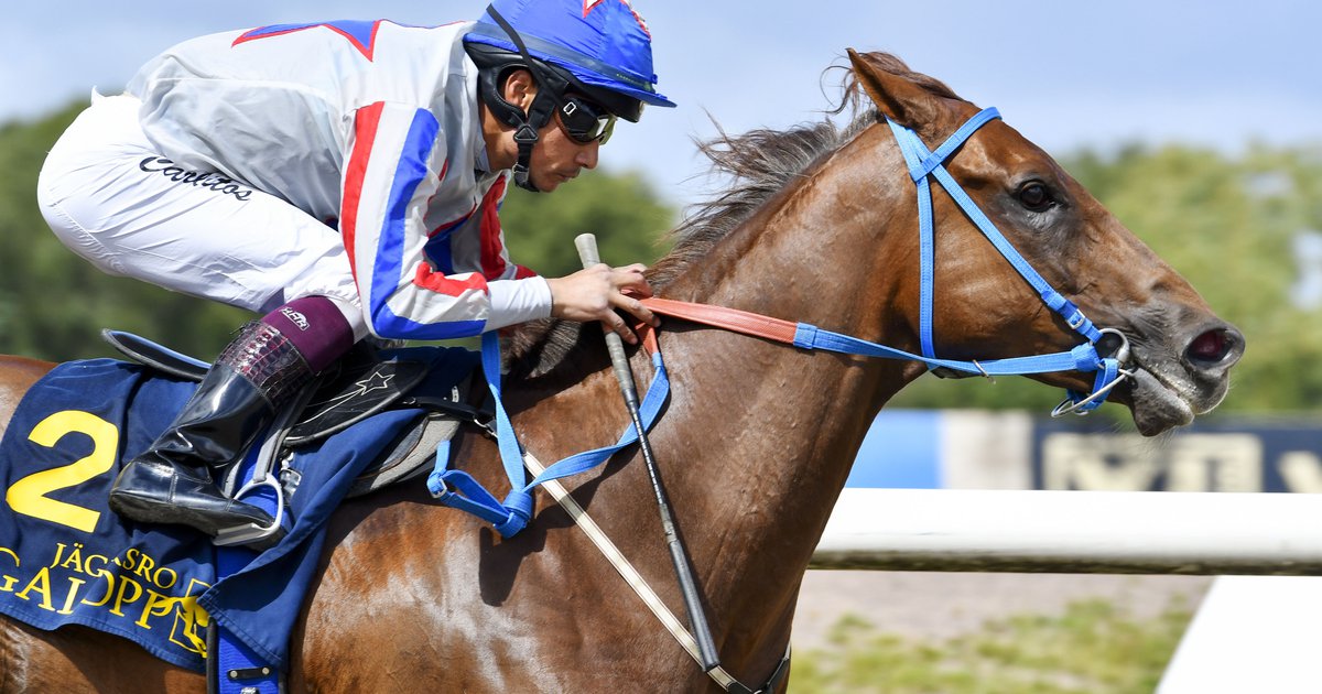 Another Listed victory for the speedy I Kirk - Horse Racing Sweden