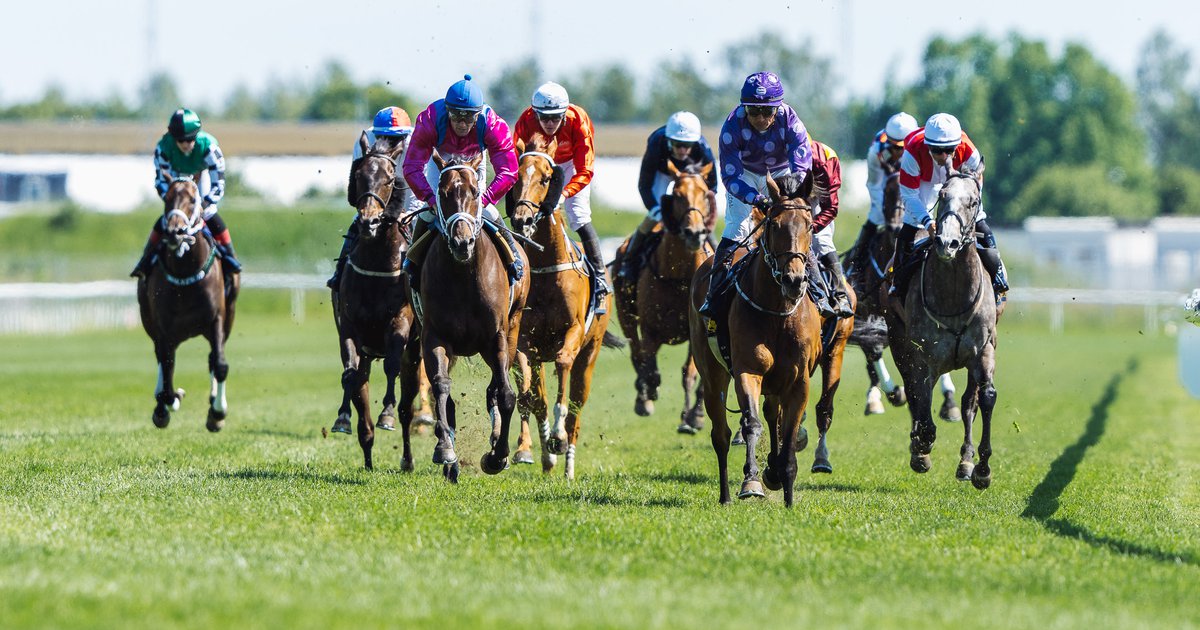Presentation of the runners in Stockholms Stora Pris (Gr.3) - Horse ...