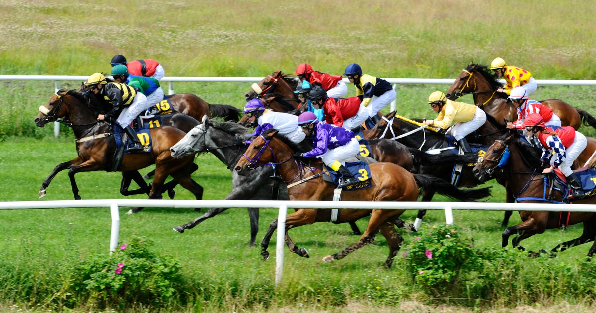 Göteborg Galopp - Horse Racing Sweden