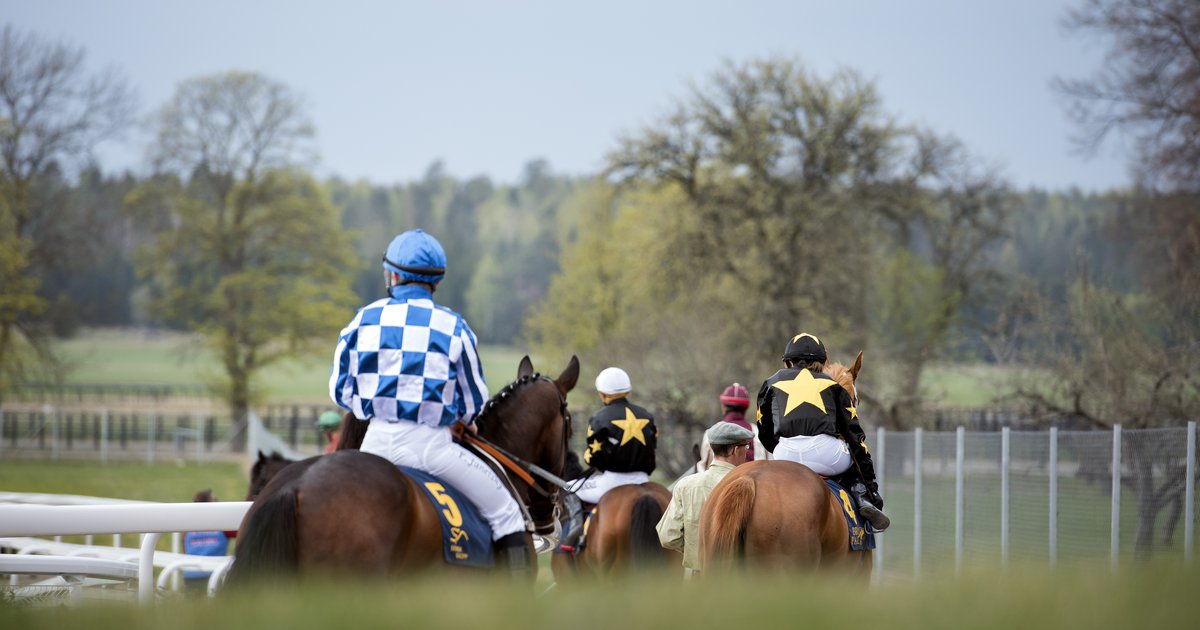 About us - Horse Racing Sweden