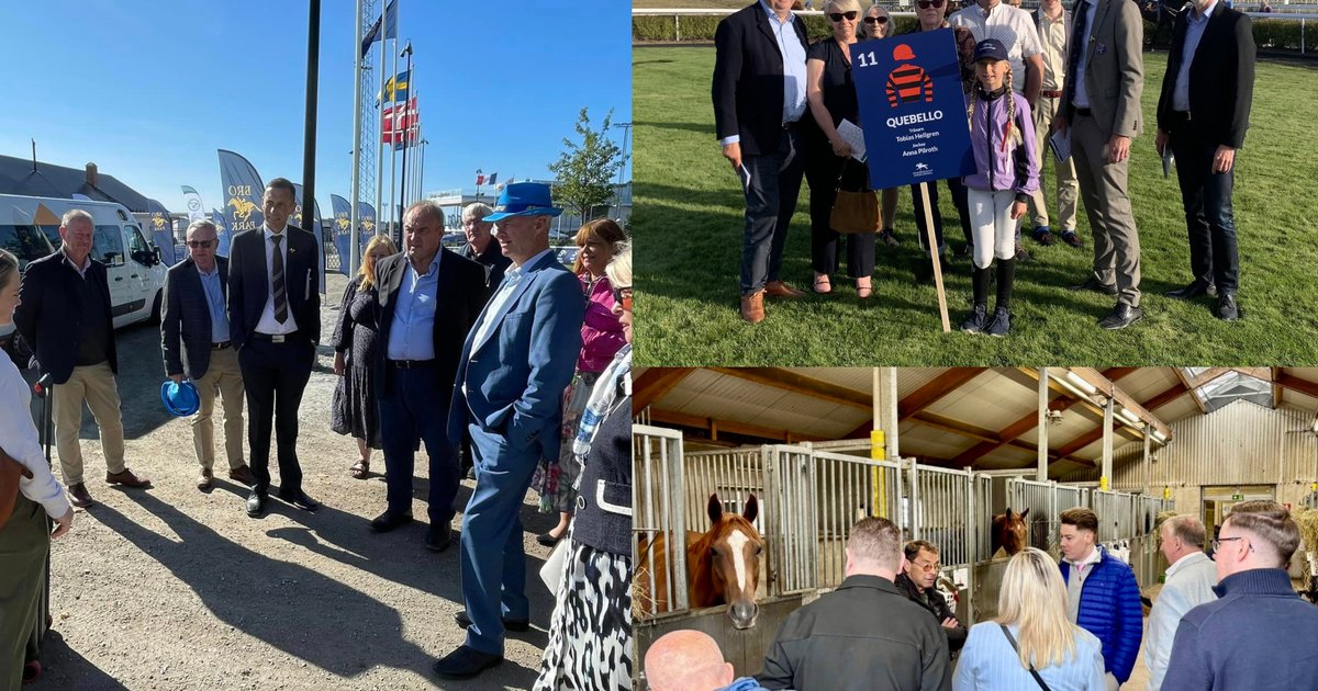 Racing Breaks offers Bro Park trip exclusively to IJF members - Horse ...