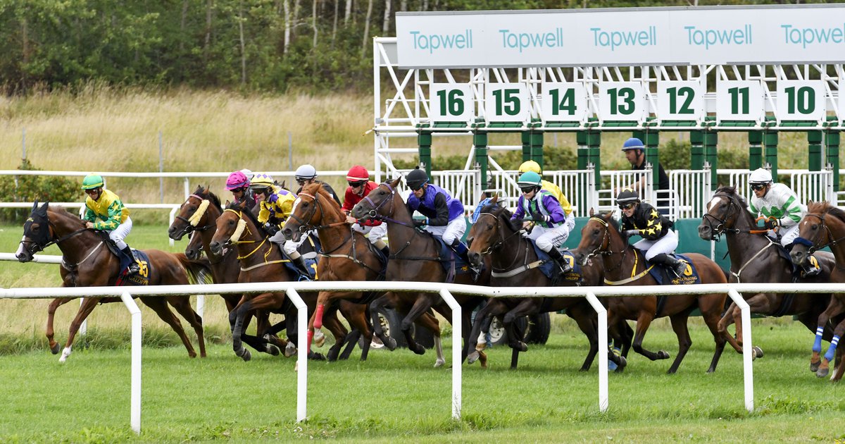 Sponsorship - Horse Racing Sweden