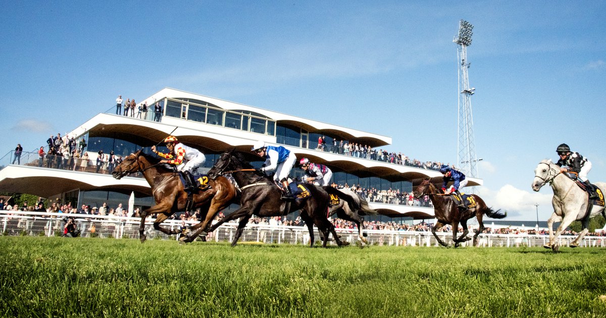The Swedish Horseracing Authority - Horse Racing Sweden