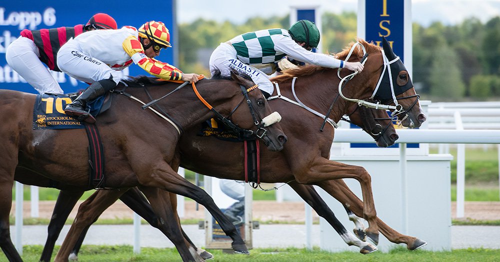 Sunday’s Black Type action: The lineup for Stockholm Cup International ...