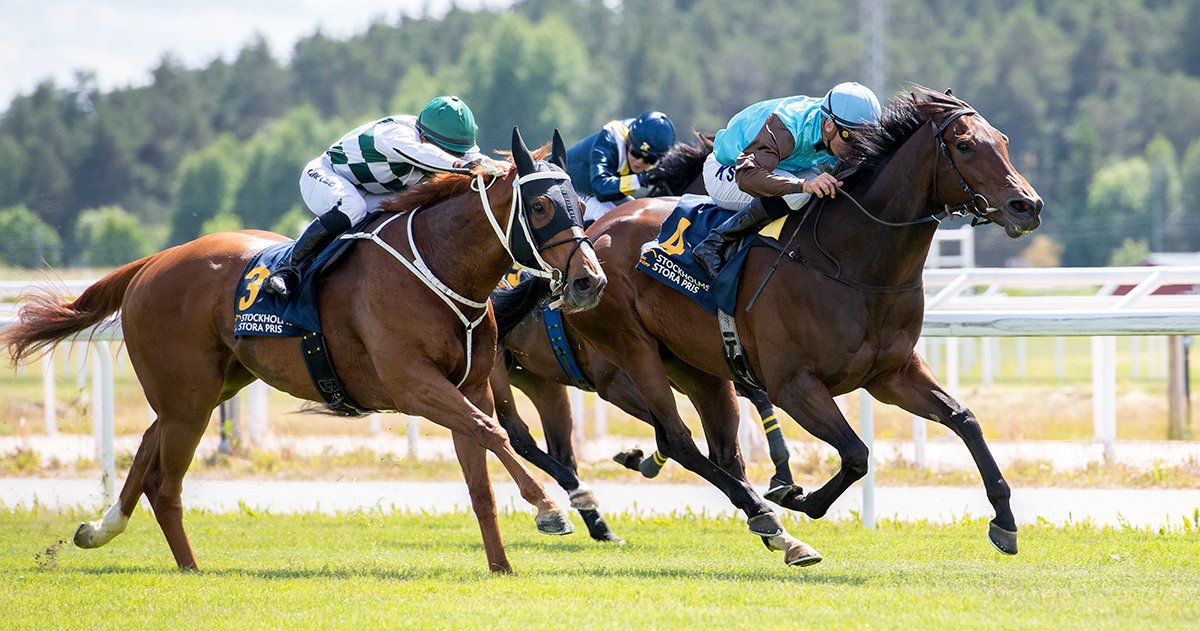 Kevin Stott rides Good Fortune to victory in thrilling Stockholm Stora ...