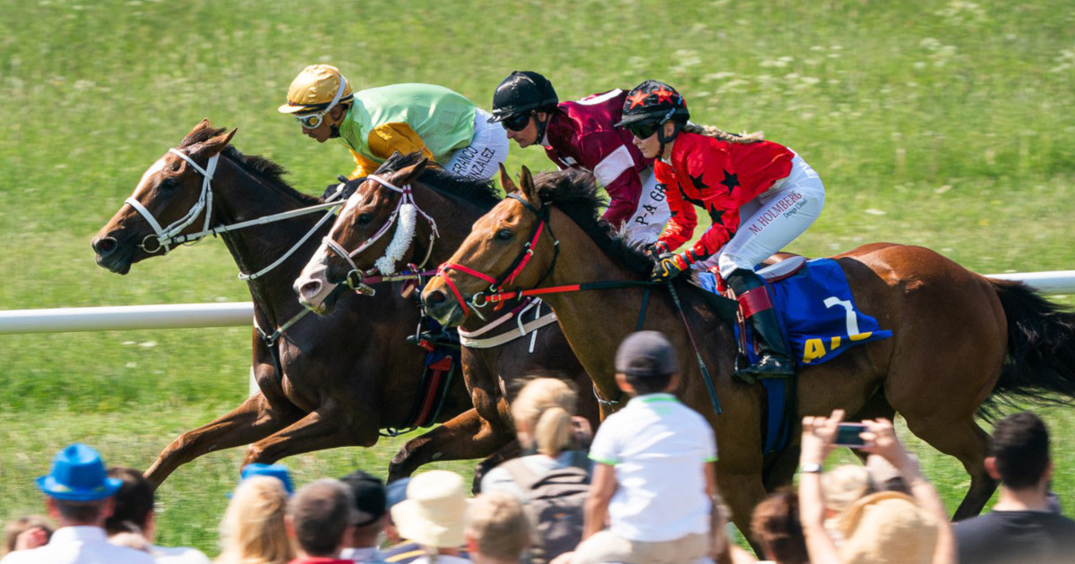 Swedish Grand National - Horse Racing Sweden